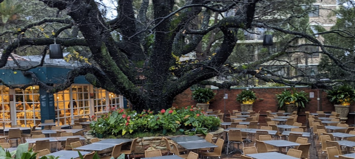 The Oaks Hotel - Neutral Bay - APM Projects
